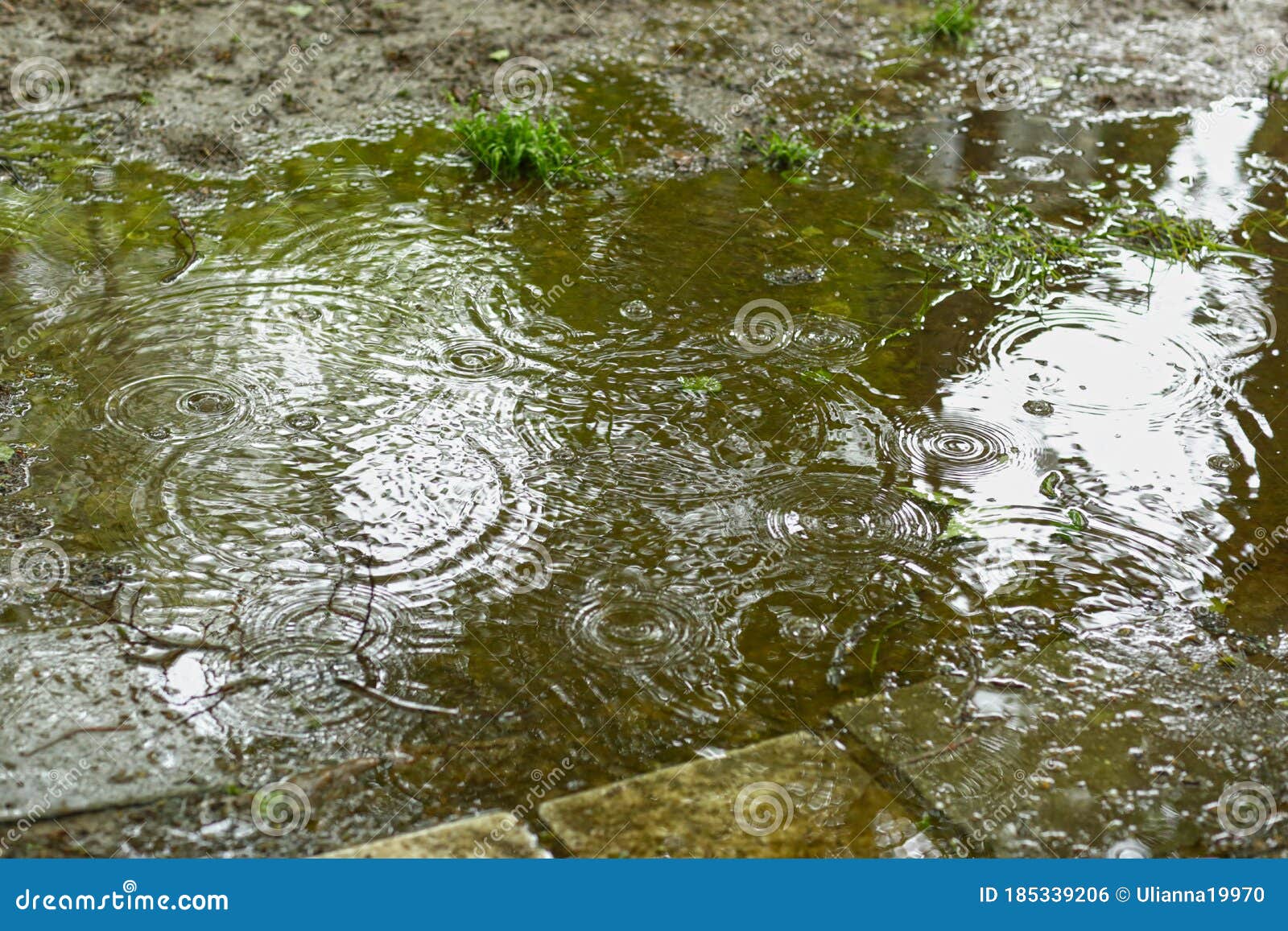 Water Surface with Rain Texture - Circles and Bubbles Texture Stock ...