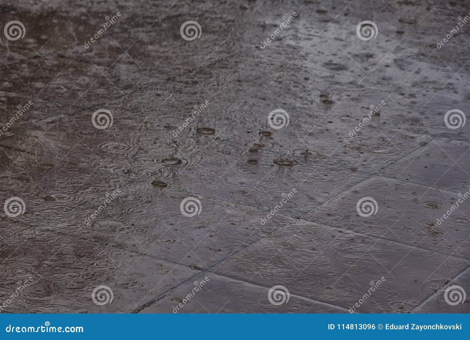 Water surface during rain. stock photo. Image of light - 114813096