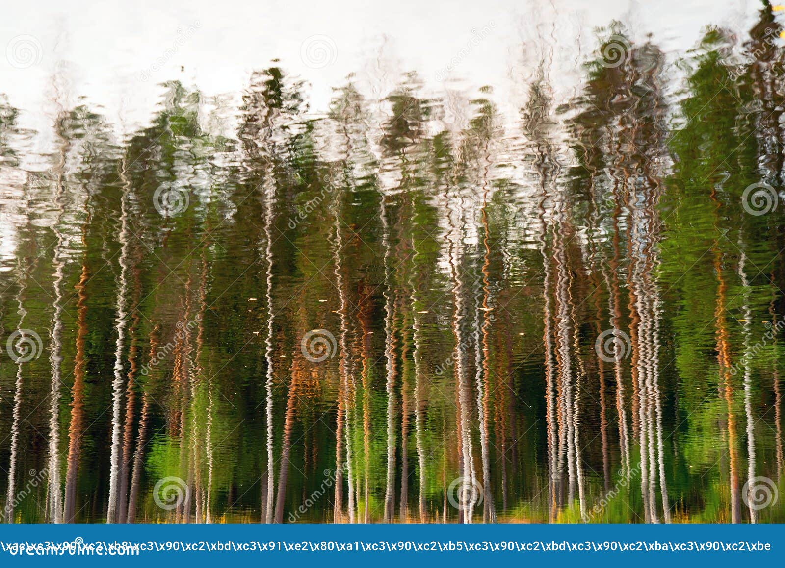 Water Surface with Reflection of Autumn Trees. Background Stock Photo ...