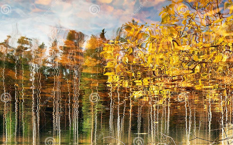 Water Surface with Reflection of Autumn Trees. Background Stock Photo ...
