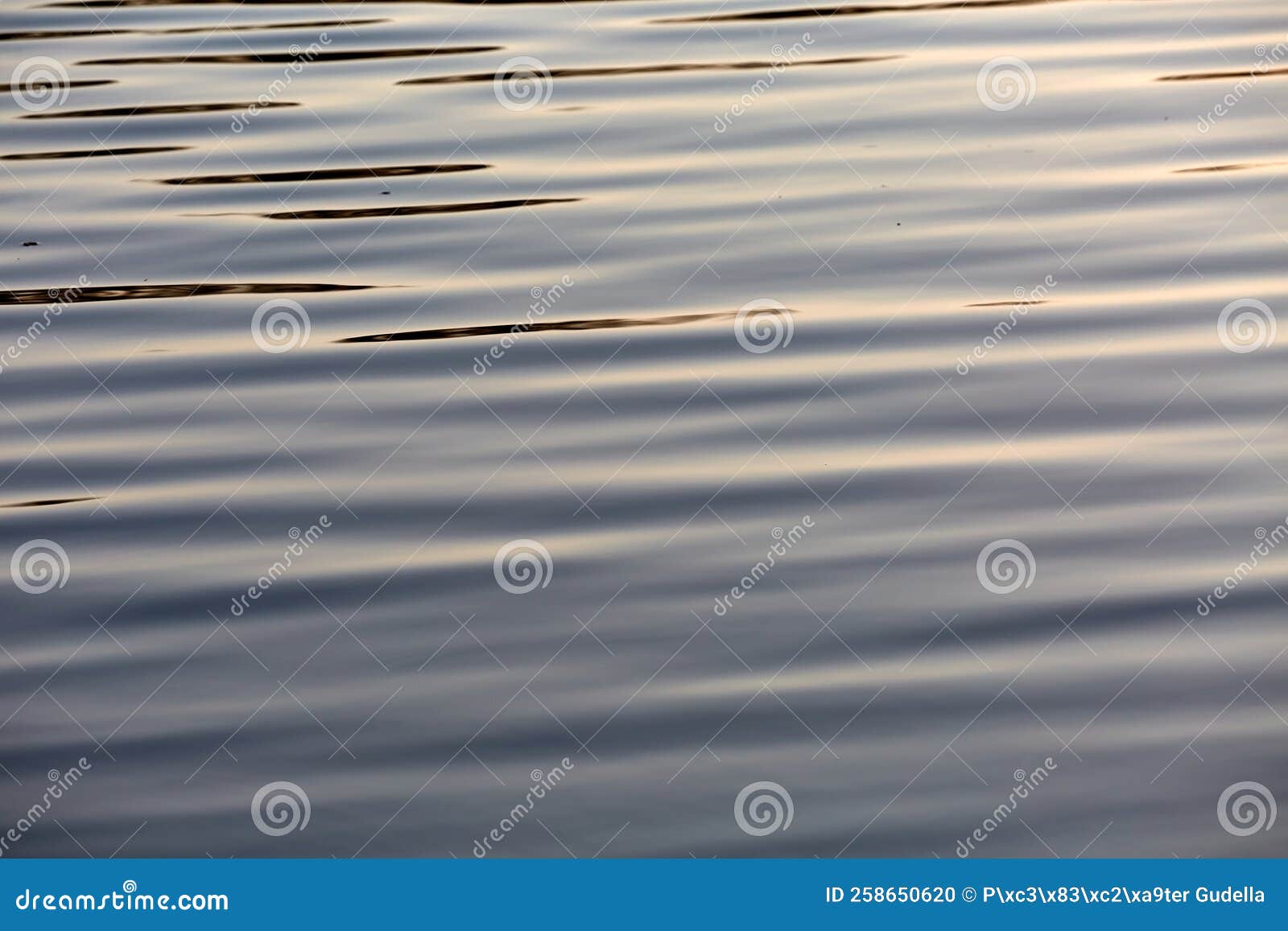 Water Surface Ripples stock photo. Image of clean, smooth - 258650620
