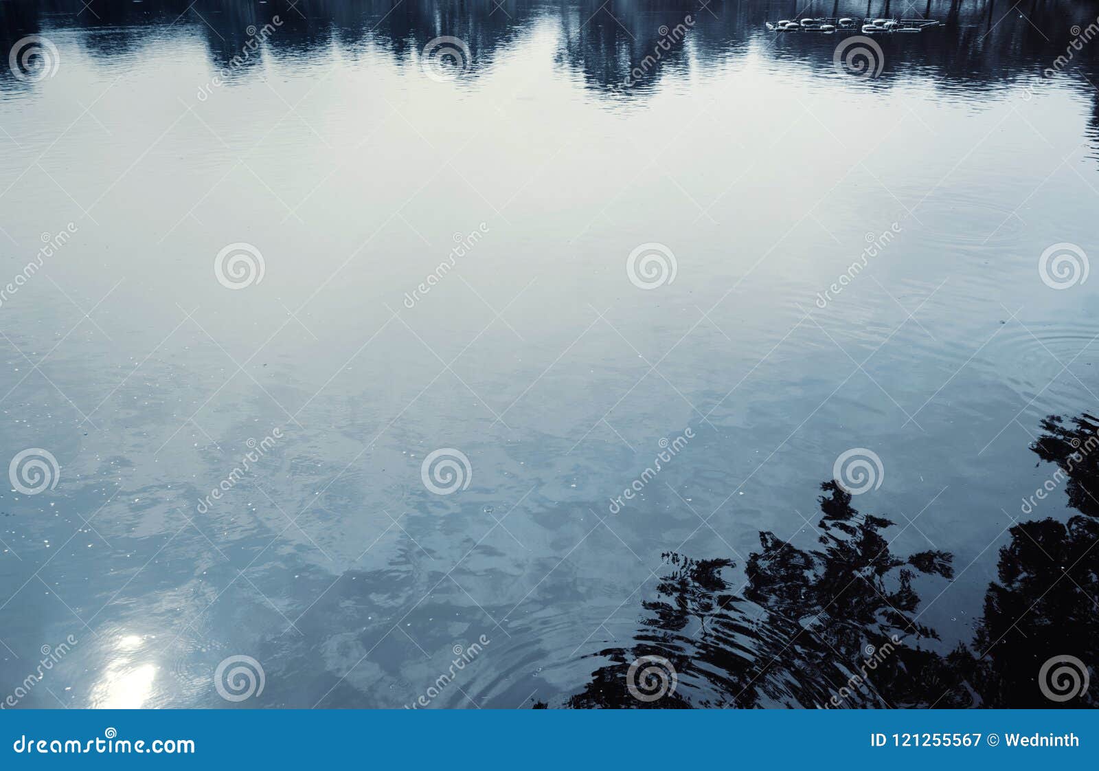 Water Surface with Ripples and Sunlight Reflections Stock Image - Image ...