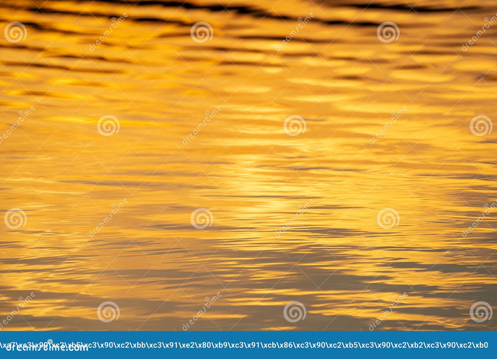 The Water Surface of a River or Lake with Sun Glare Stock Image - Image ...