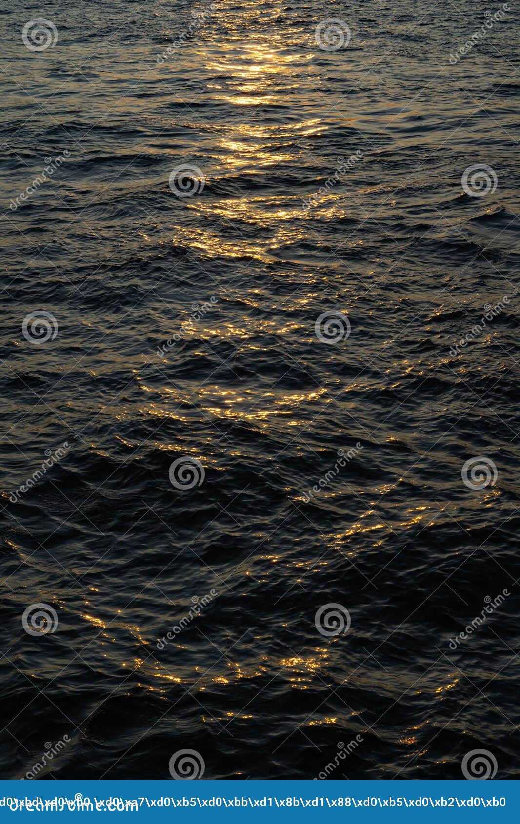 The Water Surface of a River or Lake with Sun Glare Stock Image - Image ...