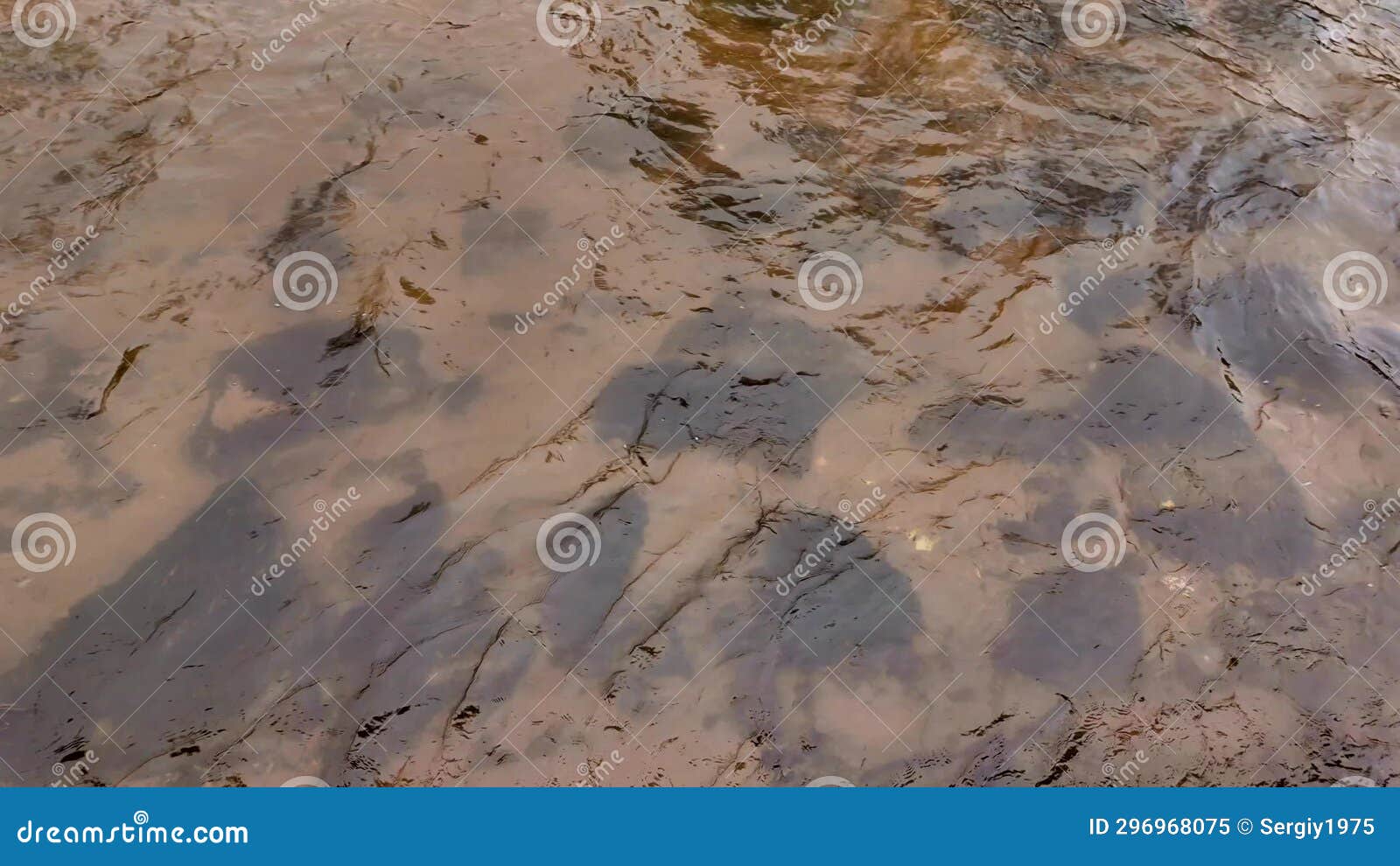 Water Surface in a Shallow River, Top View, Slow Motion, Background ...
