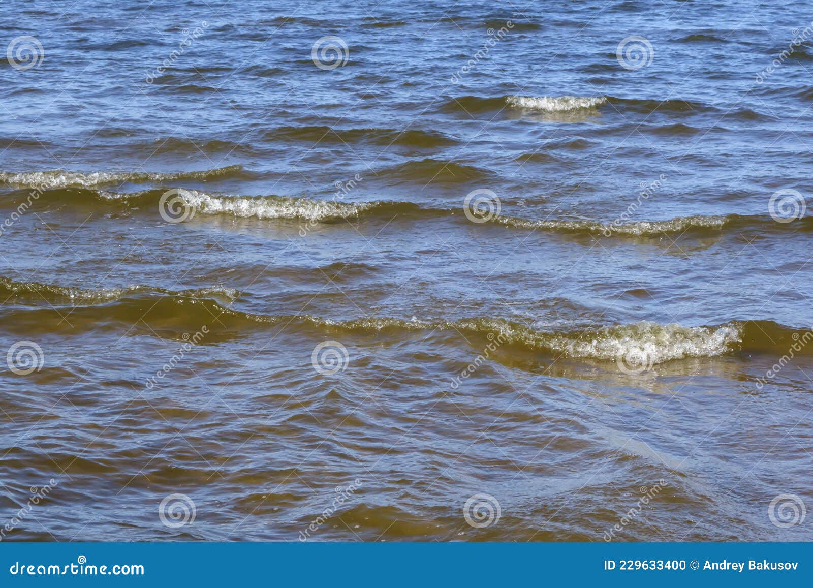 Water Surface with Small Shallow Waves. Beautiful Seascape Stock Photo ...
