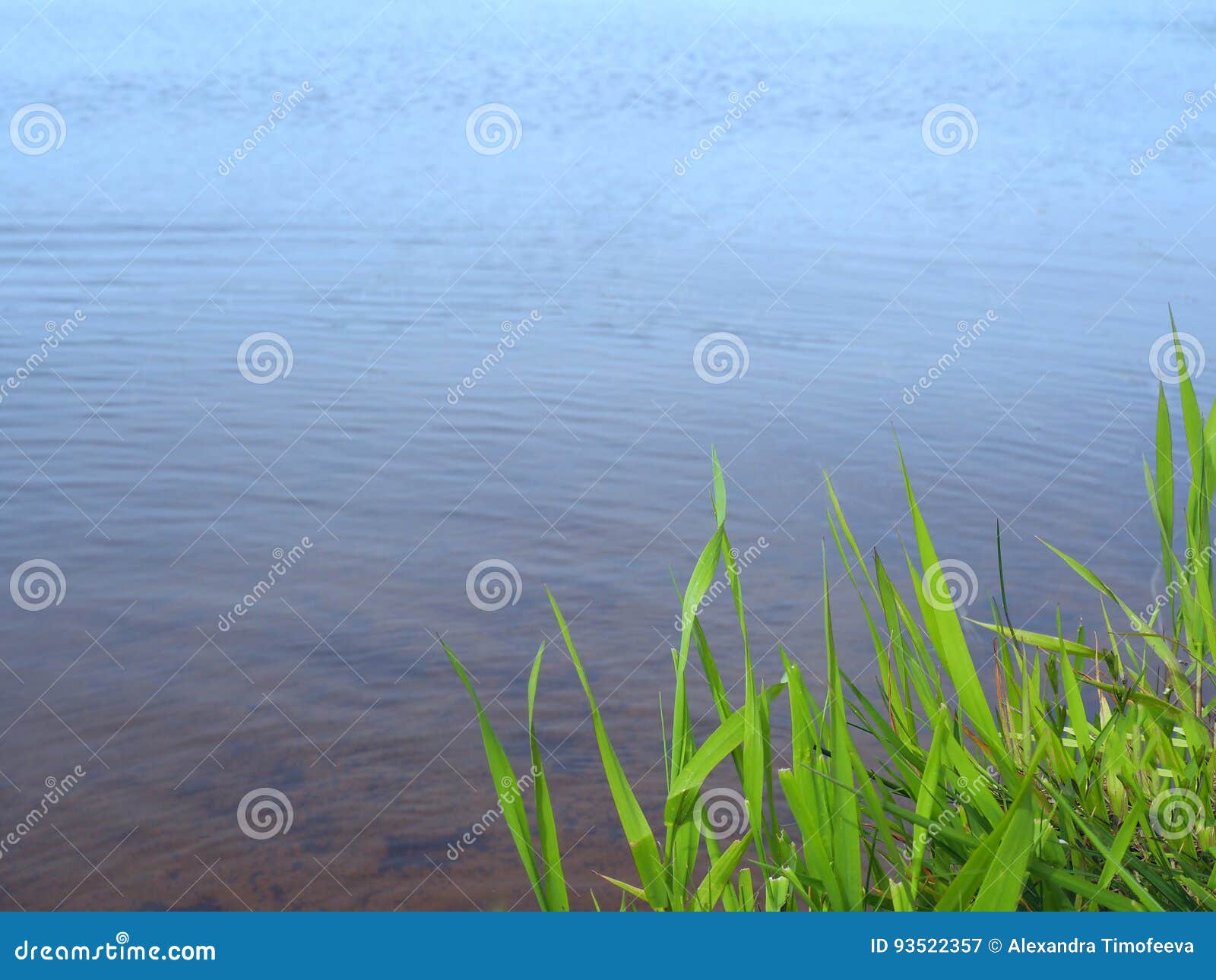 Water Surface with Soft Ripples and Sky Reflections Stock Image - Image ...