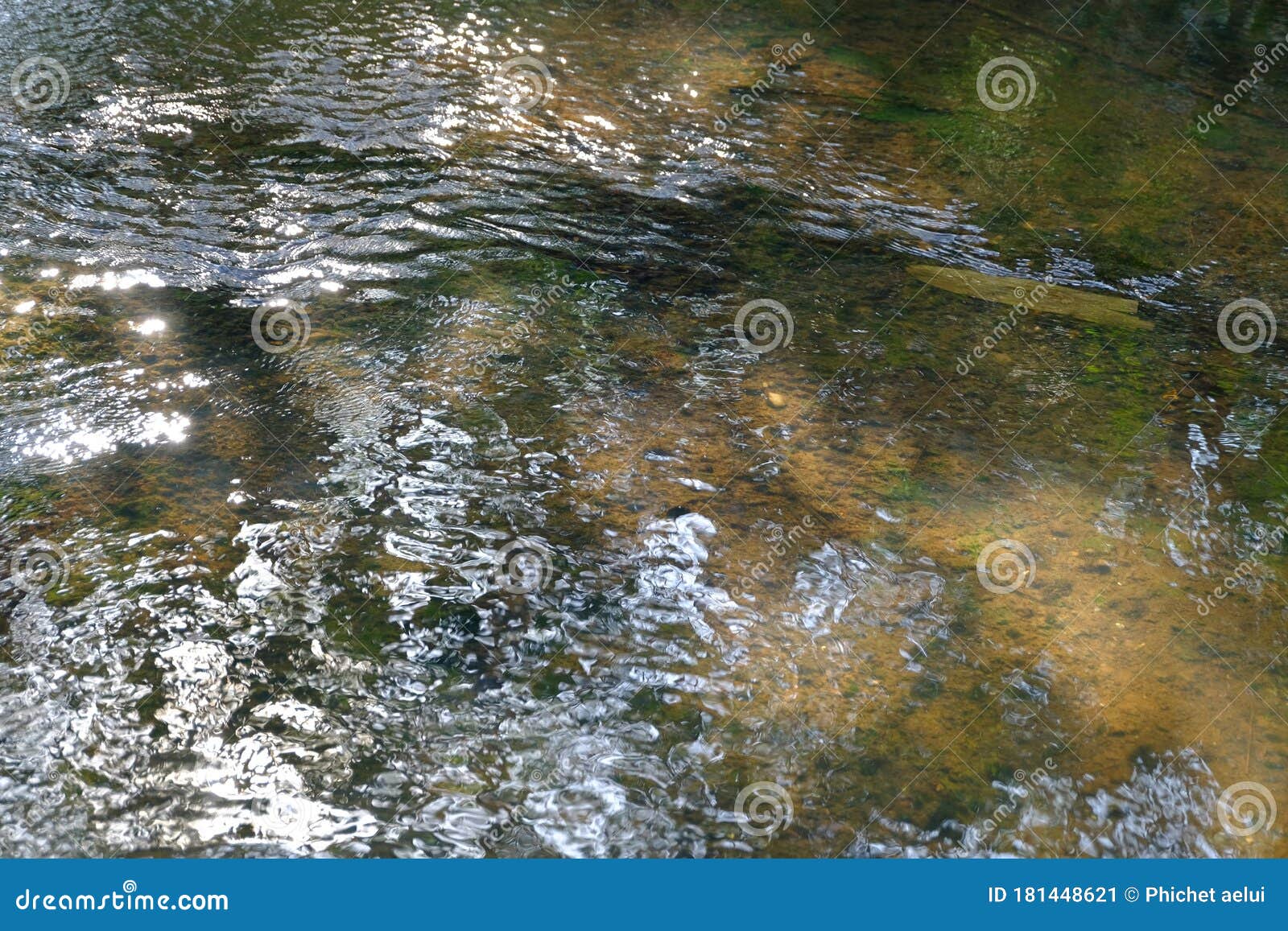 The Water Surface in the Stream is Clear and Slowly Flowing. Stock ...