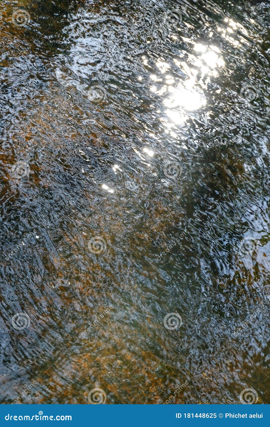The Water Surface in the Stream is Clear and Slowly Flowing. Stock ...
