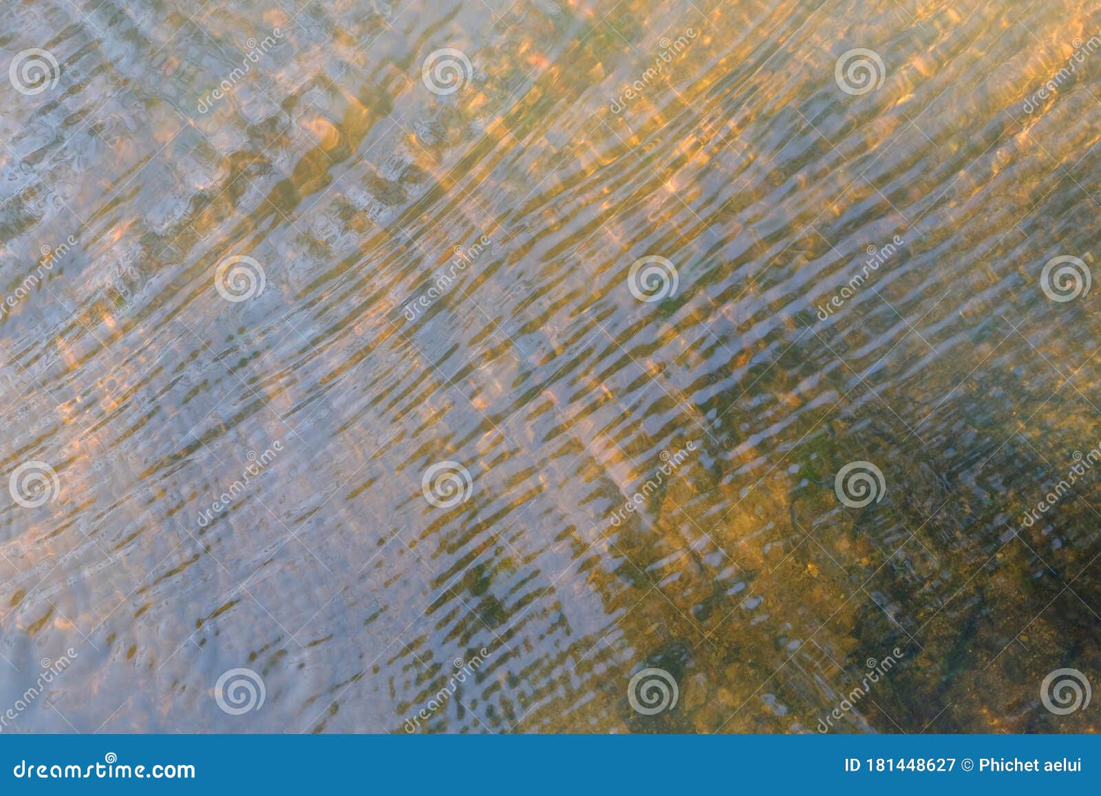 The Water Surface in the Stream is Clear and Slowly Flowing. Stock ...