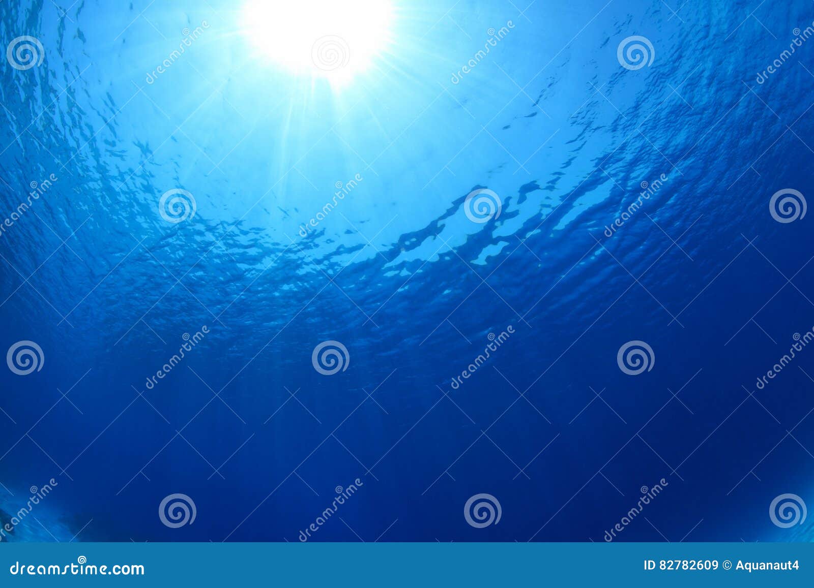 Water surface and sunlight stock image. Image of reef - 82782609