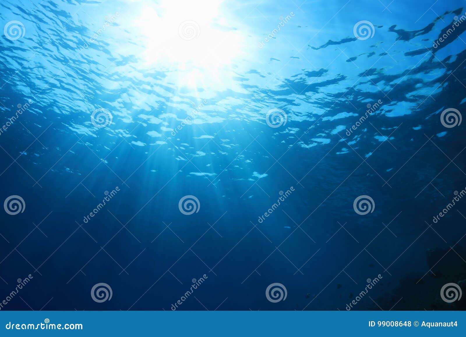 Water surface and sunlight stock photo. Image of light - 99008648