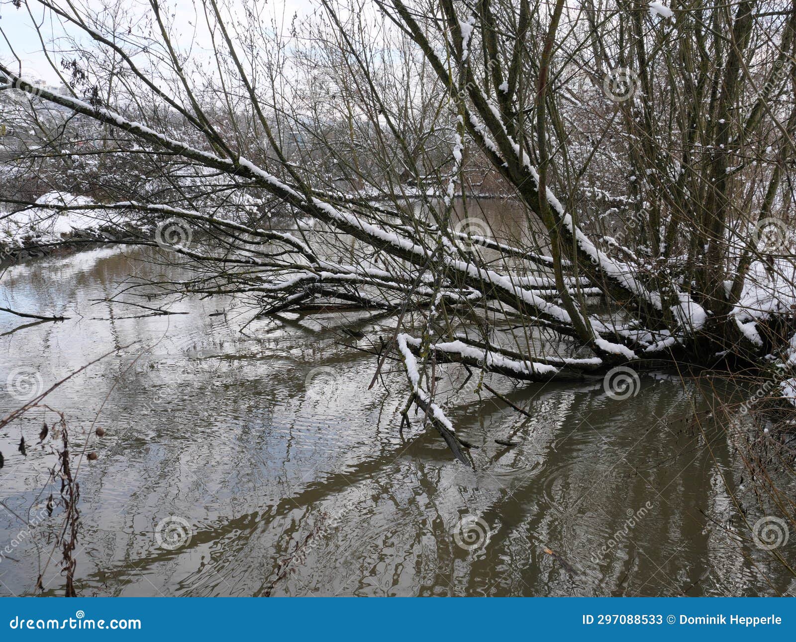 Water Surface with Trees Covered with Snow Leaning Over in Winter Stock ...