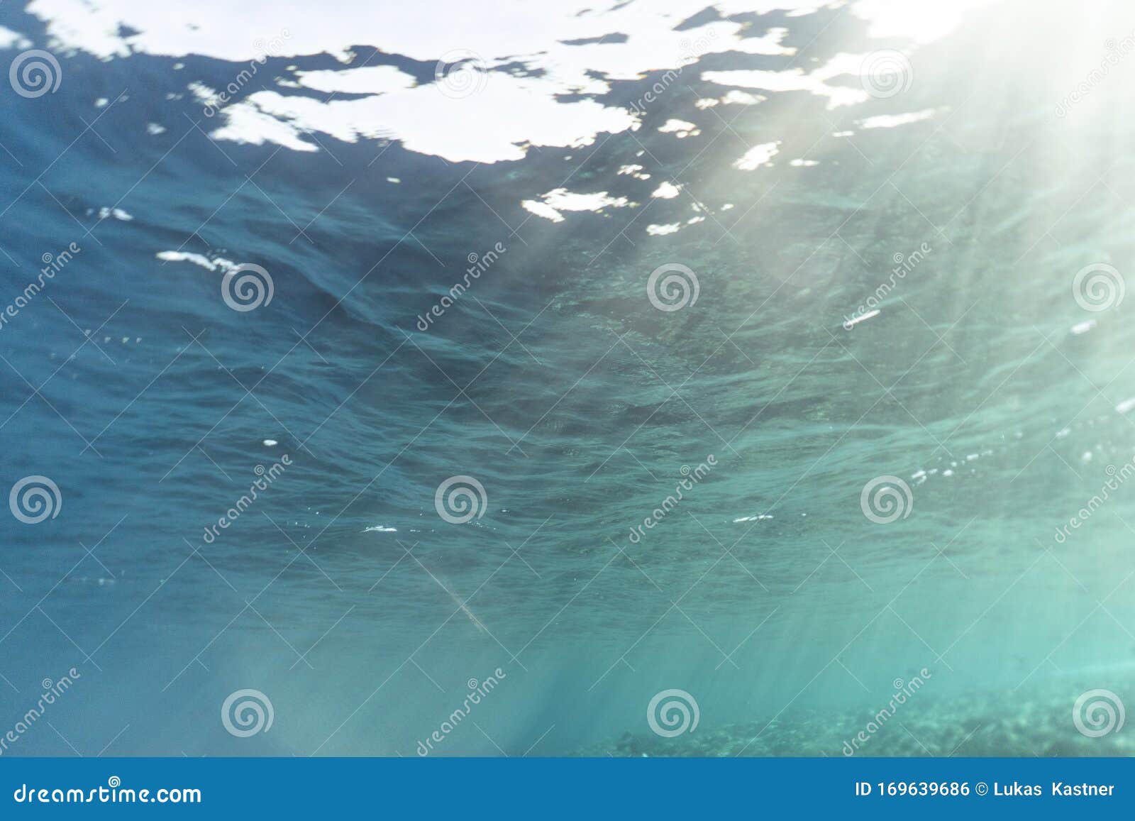 Water Surface from Underneath, Stock Photo - Image of ecosystem, travel ...