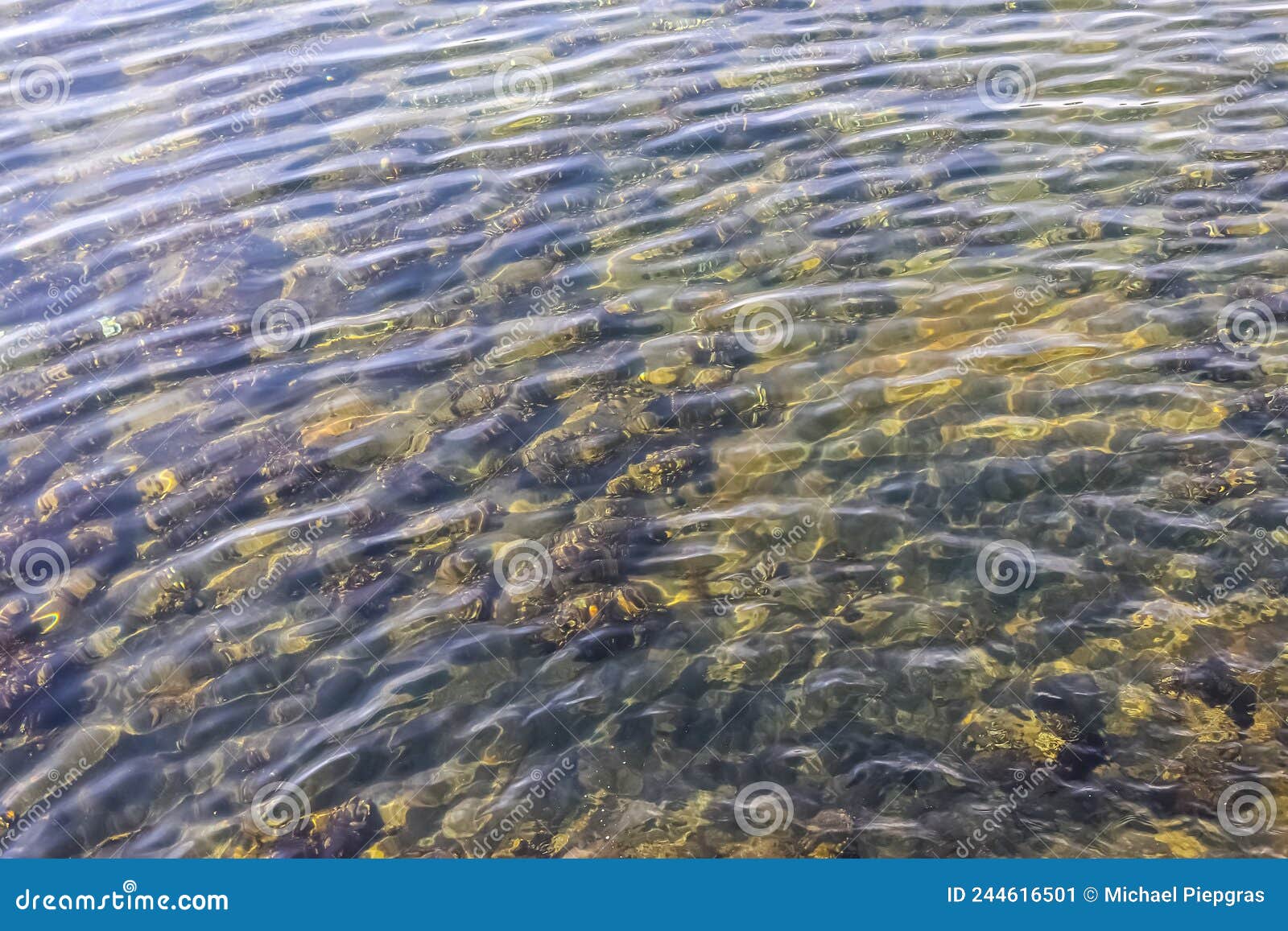 Water Surface with Waves and Ripples and the Sunlight Reflecting Stock ...