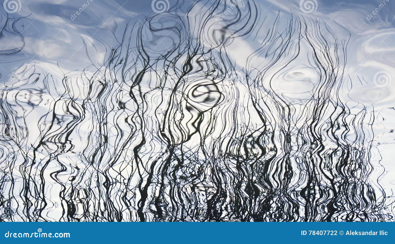 Water Surface and Waves with Tree Reflection Stock Photo - Image of ...