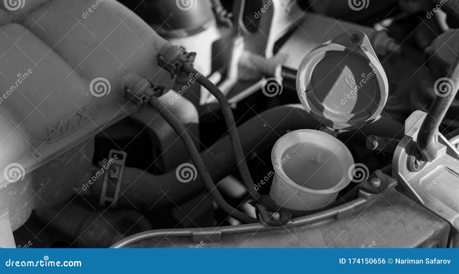Water tank in car hood stock photo. Image of mechanic - 174150656