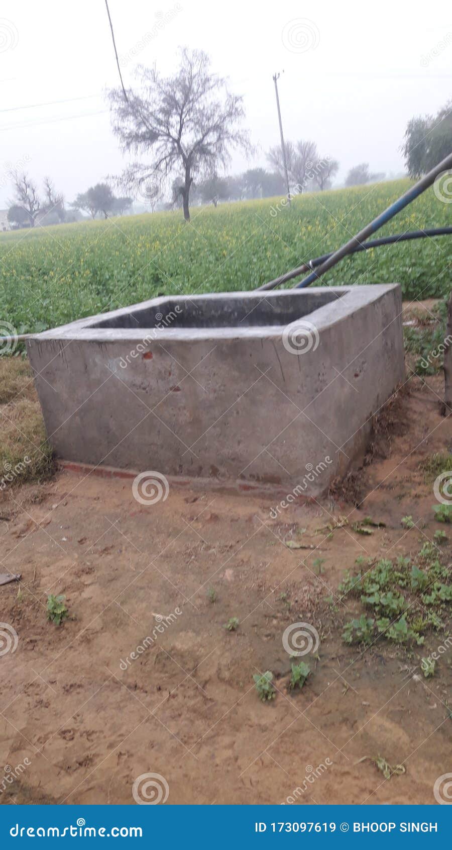 WATER TANK in the FIELD TREES and CROPS Stock Image - Image of tank ...