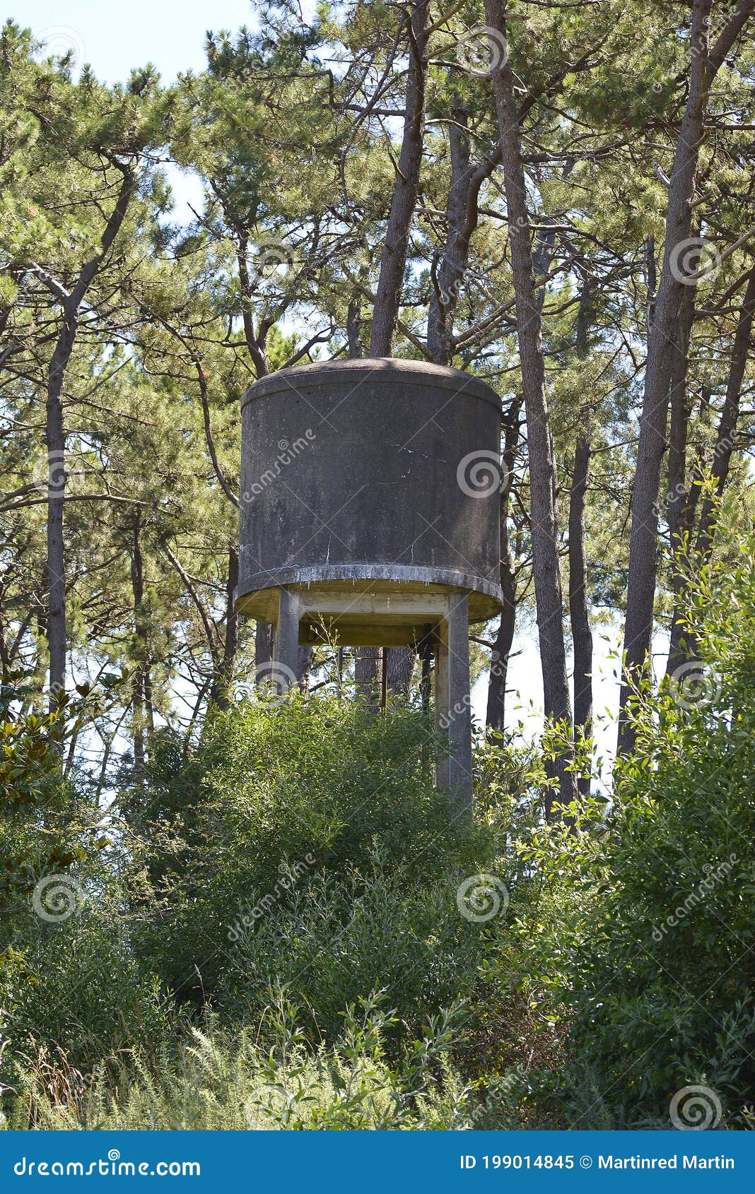 Water Tank in the Middle of the Forest Stock Image - Image of galilee ...