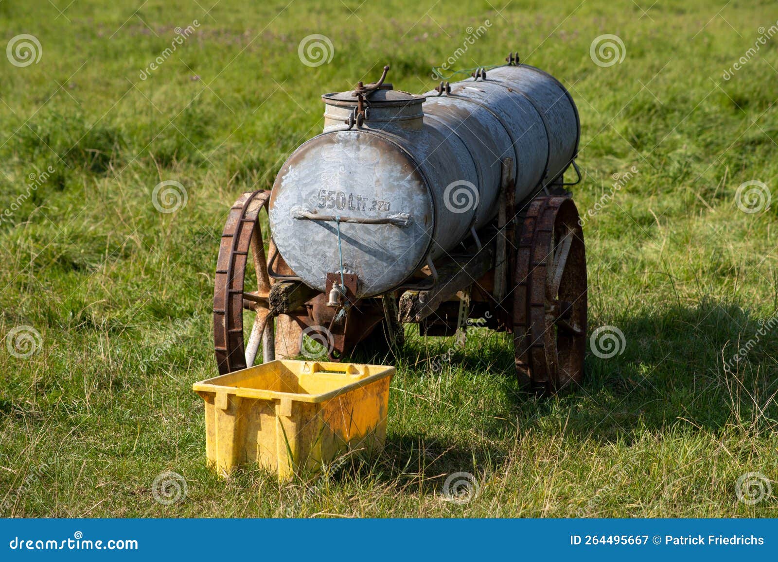 Water Tank for Sheep on a Pasture Stock Image - Image of sheppard ...
