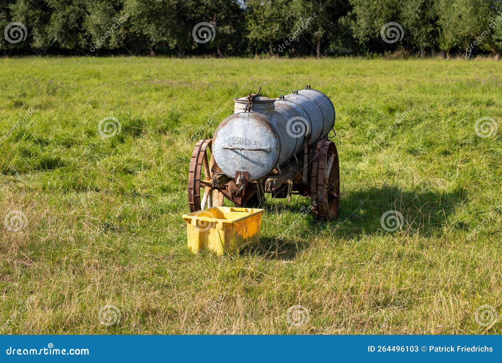 Water Tank for Sheep on a Pasture Stock Image - Image of herd, sheep ...