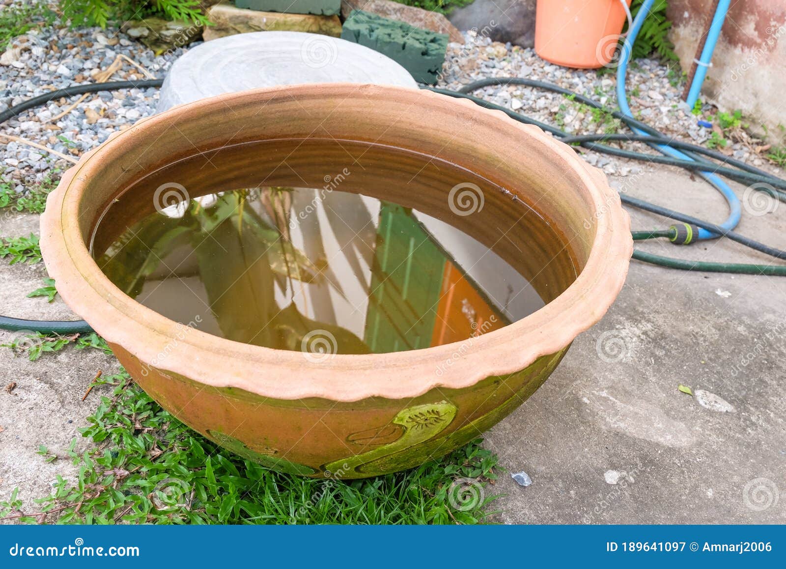 Water in Terracotta Lotus Basin Stock Image - Image of nature, potted ...