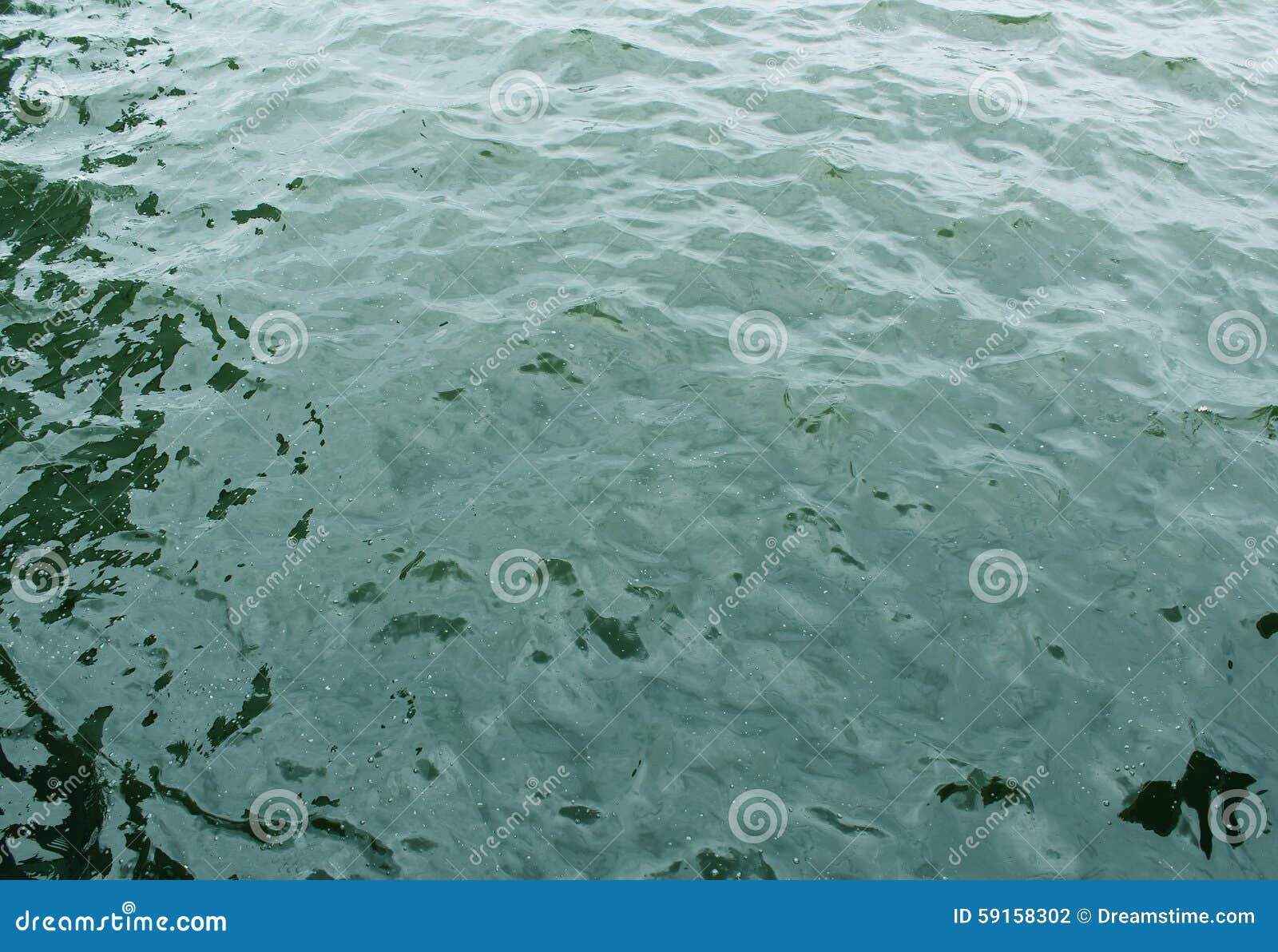 Water texture stock photo. Image of calm, summer, vivid - 59158302
