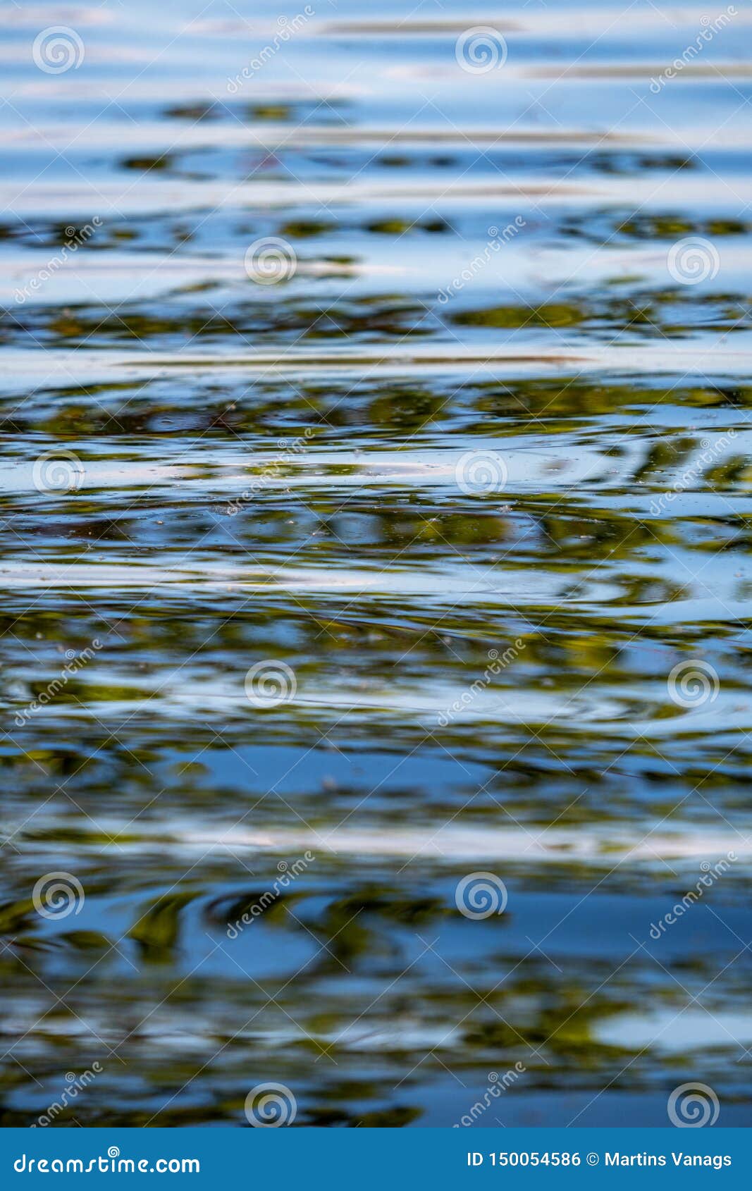 Water Texture with Reflections and Rocks on the Bottom of Stream Stock ...