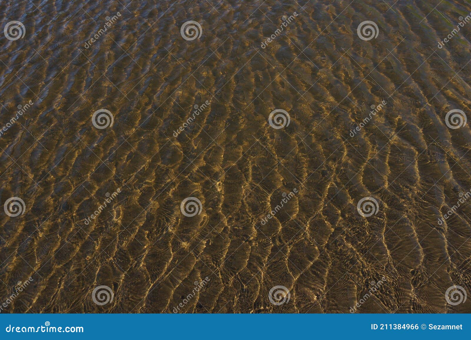 Water Texture in the River Day Fine Waves Sand Stock Photo - Image of ...