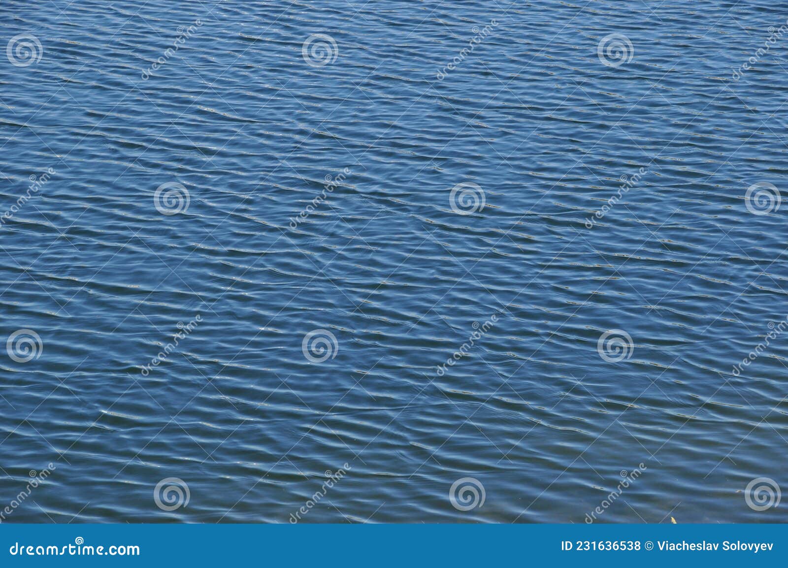 Water Texture with Slight Waves from Light Wind. Stock Photo - Image of ...