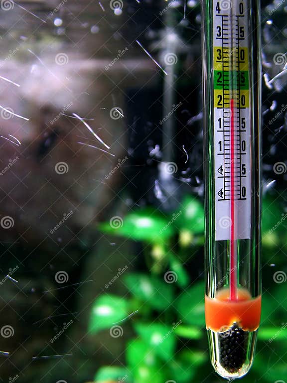 Water Thermometer stock photo. Image of science, ambient - 1555758