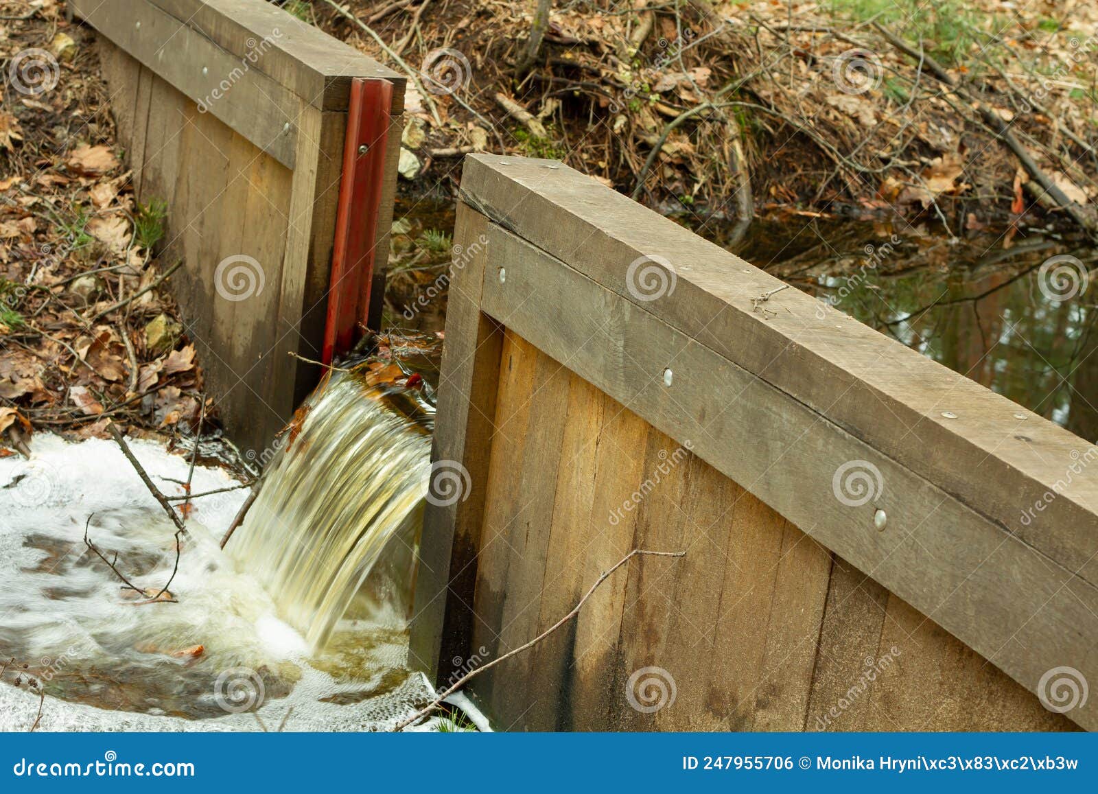 Water Threshold for Apropriete Watering Stock Photo - Image of wooden ...