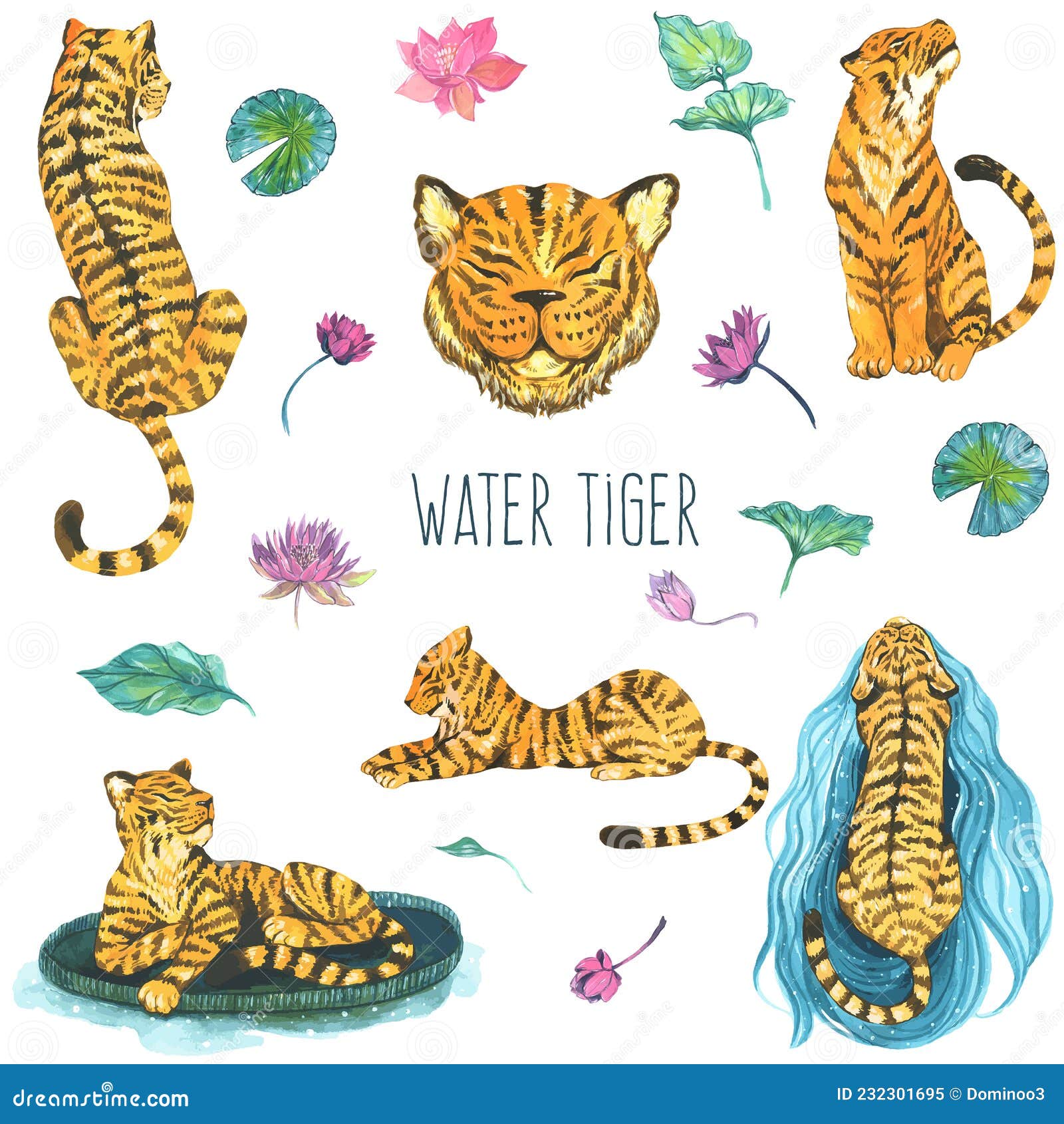 Water Tiger, Watercolor Illustrations. Vector Isolated Elements Stock ...