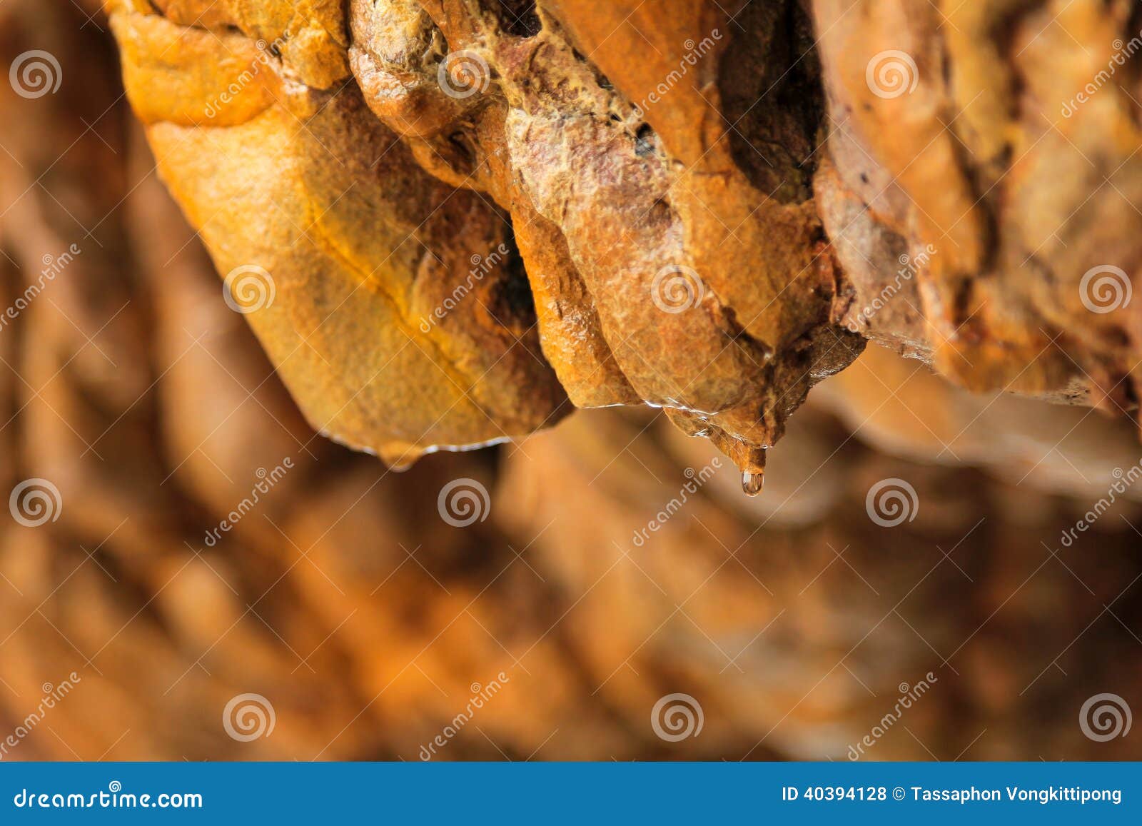 Water tip cave stock photo. Image of water, explore, geology - 40394128