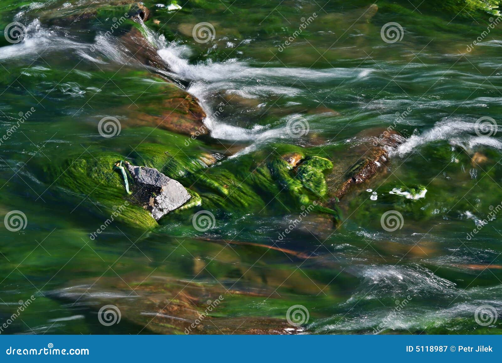Water Torrent in the of River Stock Image - Image of countryside, loud ...