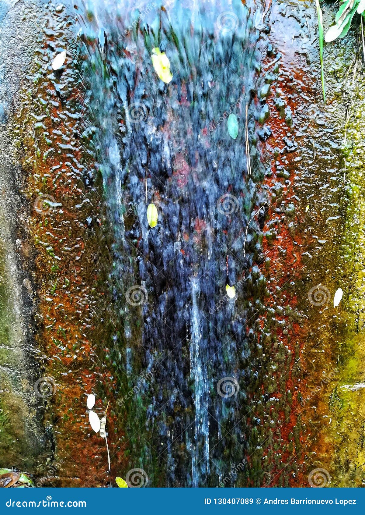 Water torrent stock image. Image of types, moss, torrent - 130407089