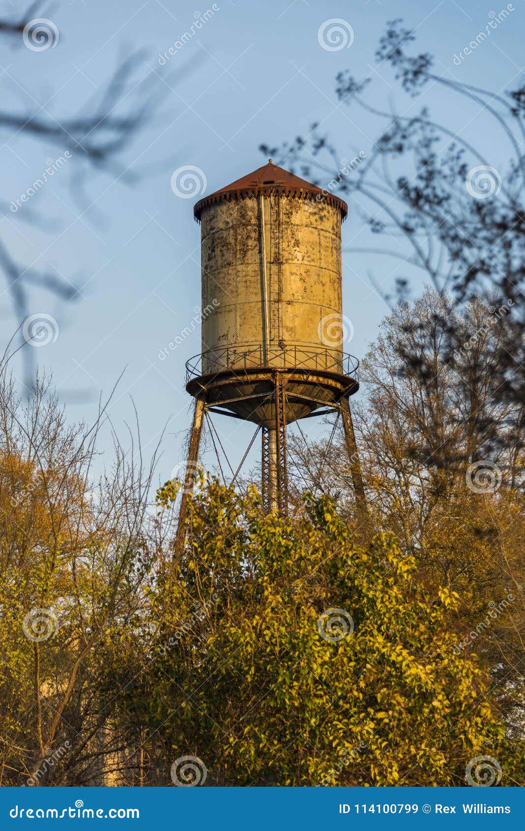 Water tower over the trees stock image. Image of view - 114100799