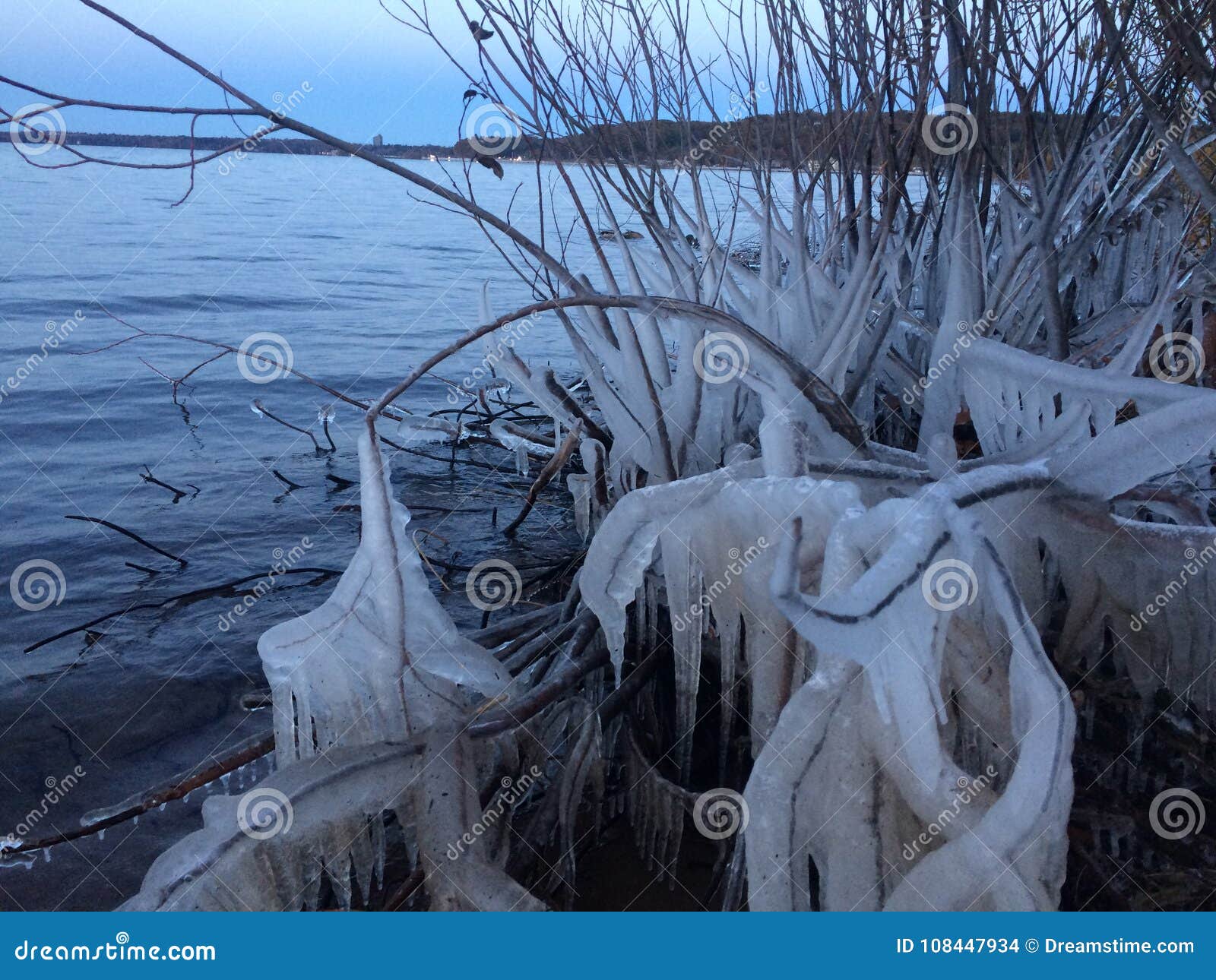 Iced branch stock photo. Image of branch, water, traverse - 108447934