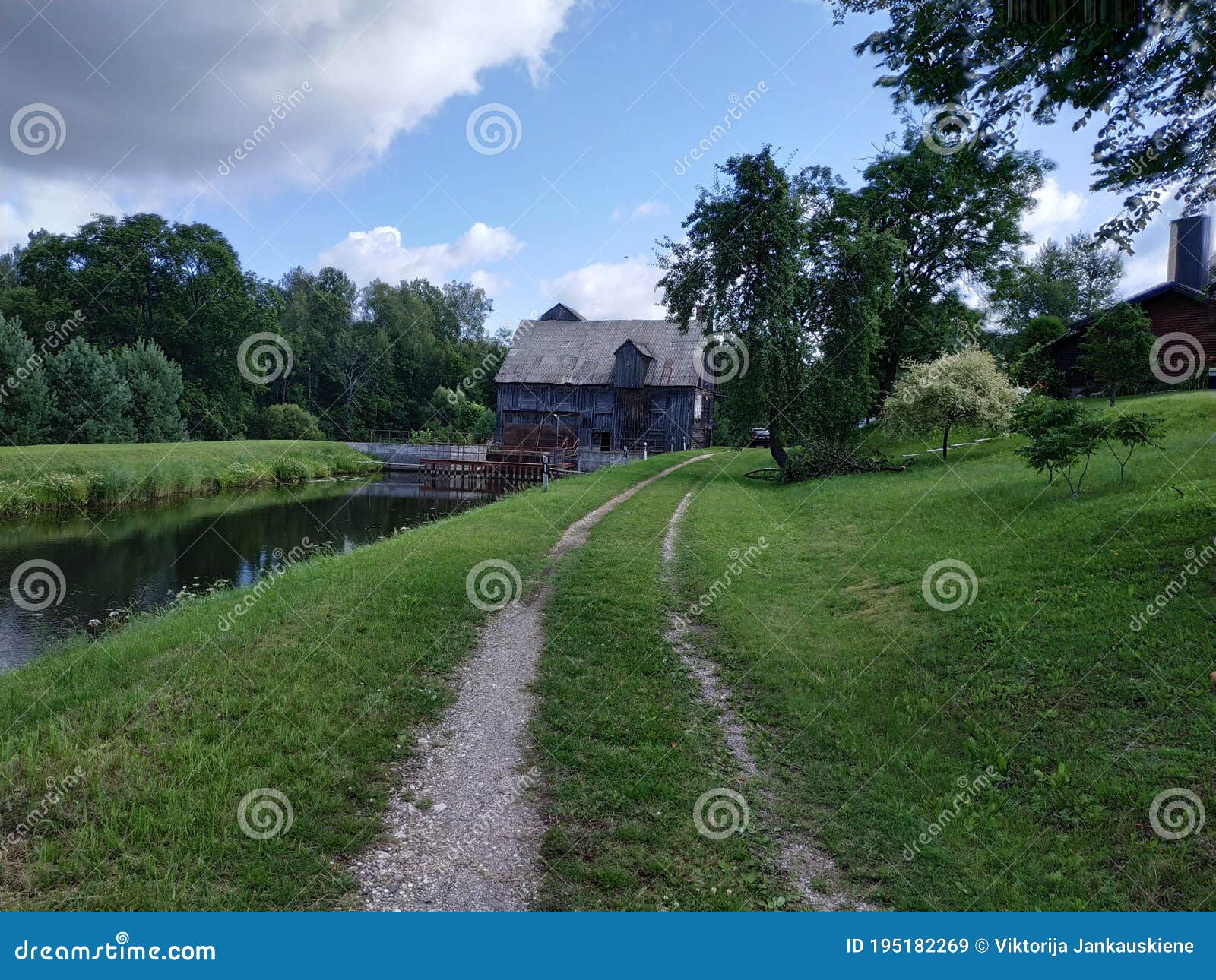 Water Tree Grass River Flower Flow Stock Image - Image of flower, lawn ...
