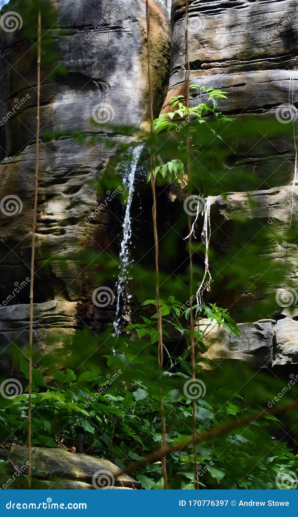Water Trickling Out of Spring Stock Image - Image of print, palm: 170776397