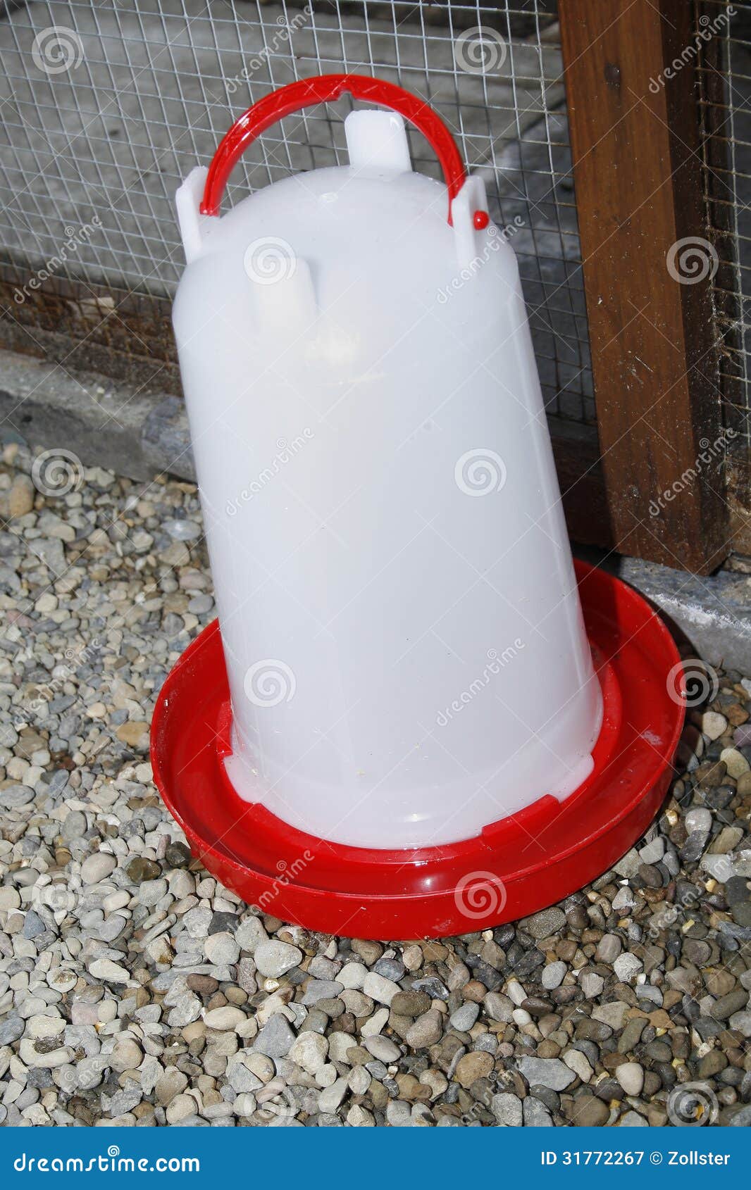 Water trough stock image. Image of water, captivity, plastic - 31772267