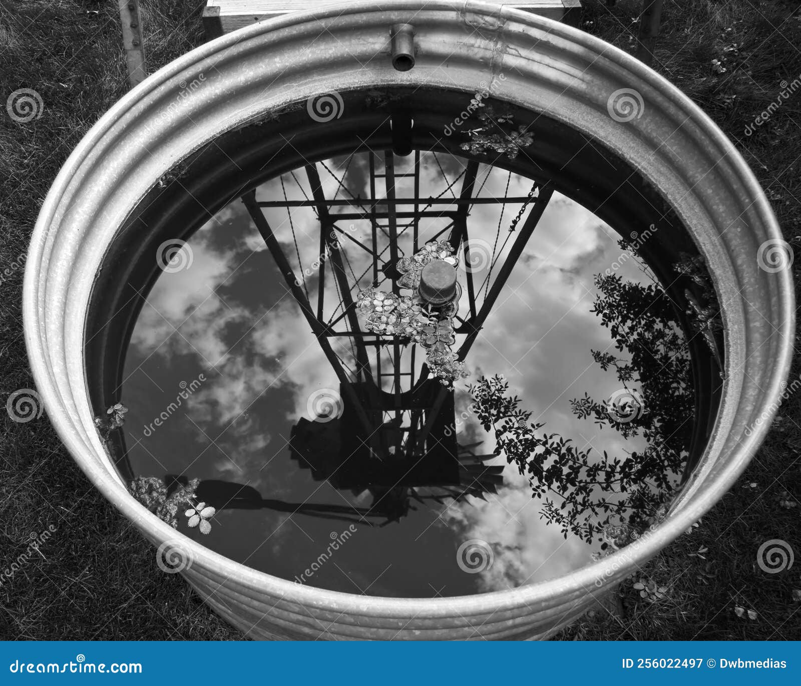 Water Tub with a Reflection Stock Image - Image of reflection, metal ...