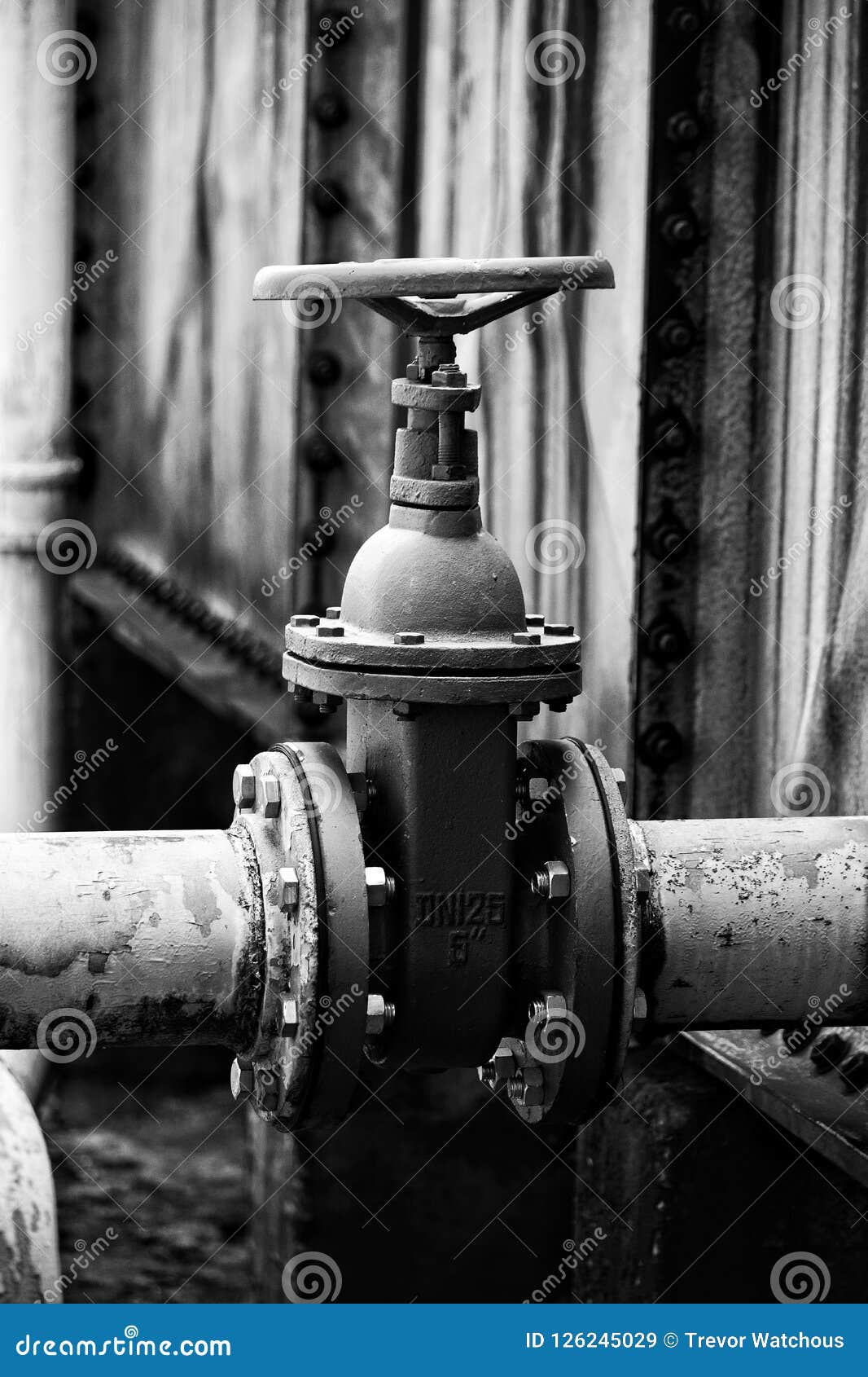 Water Valve stock image. Image of monochrome, white - 126245029