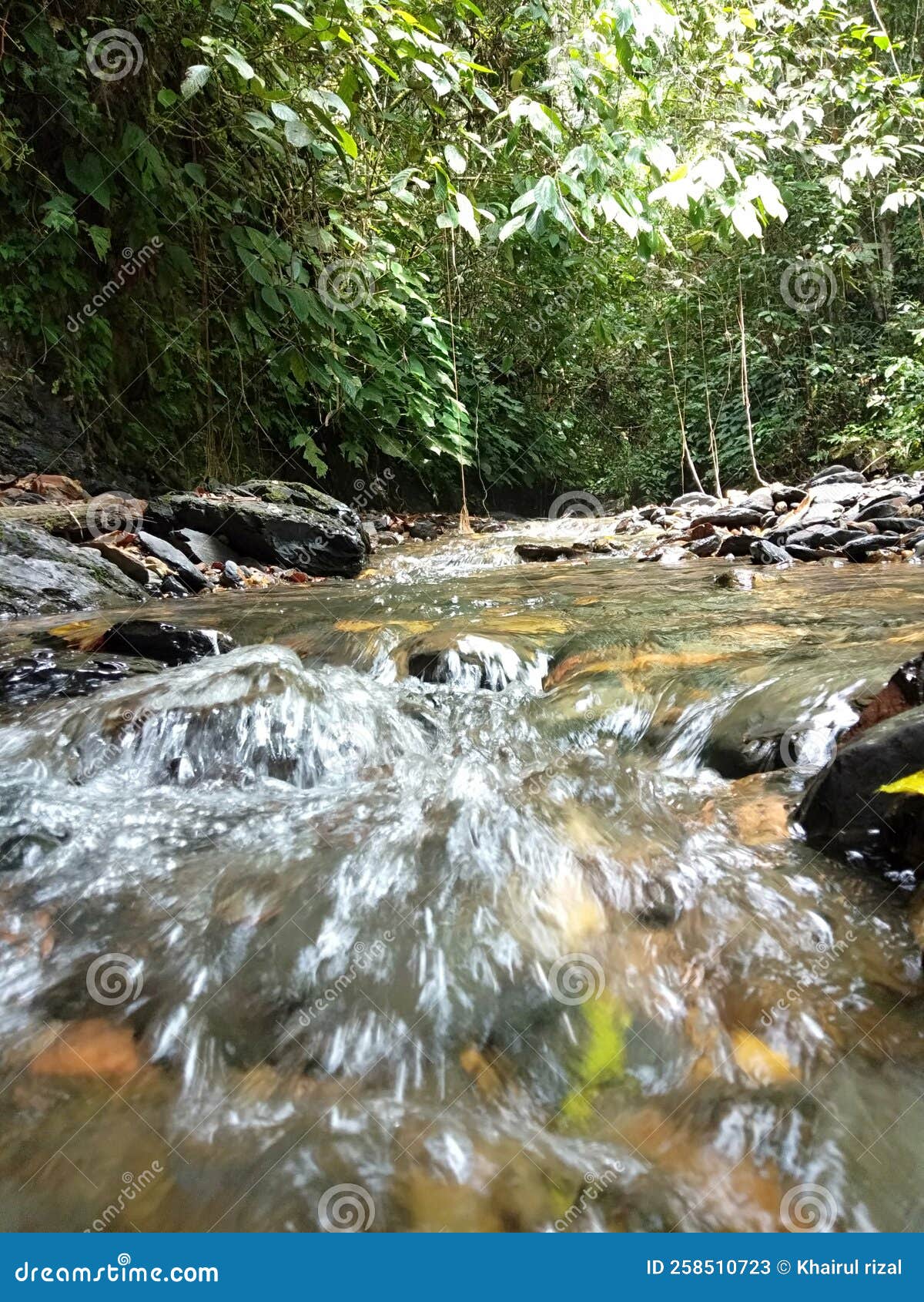 River Water Flow, Mancang All-in-one Aceh East Stock Image - Image of ...