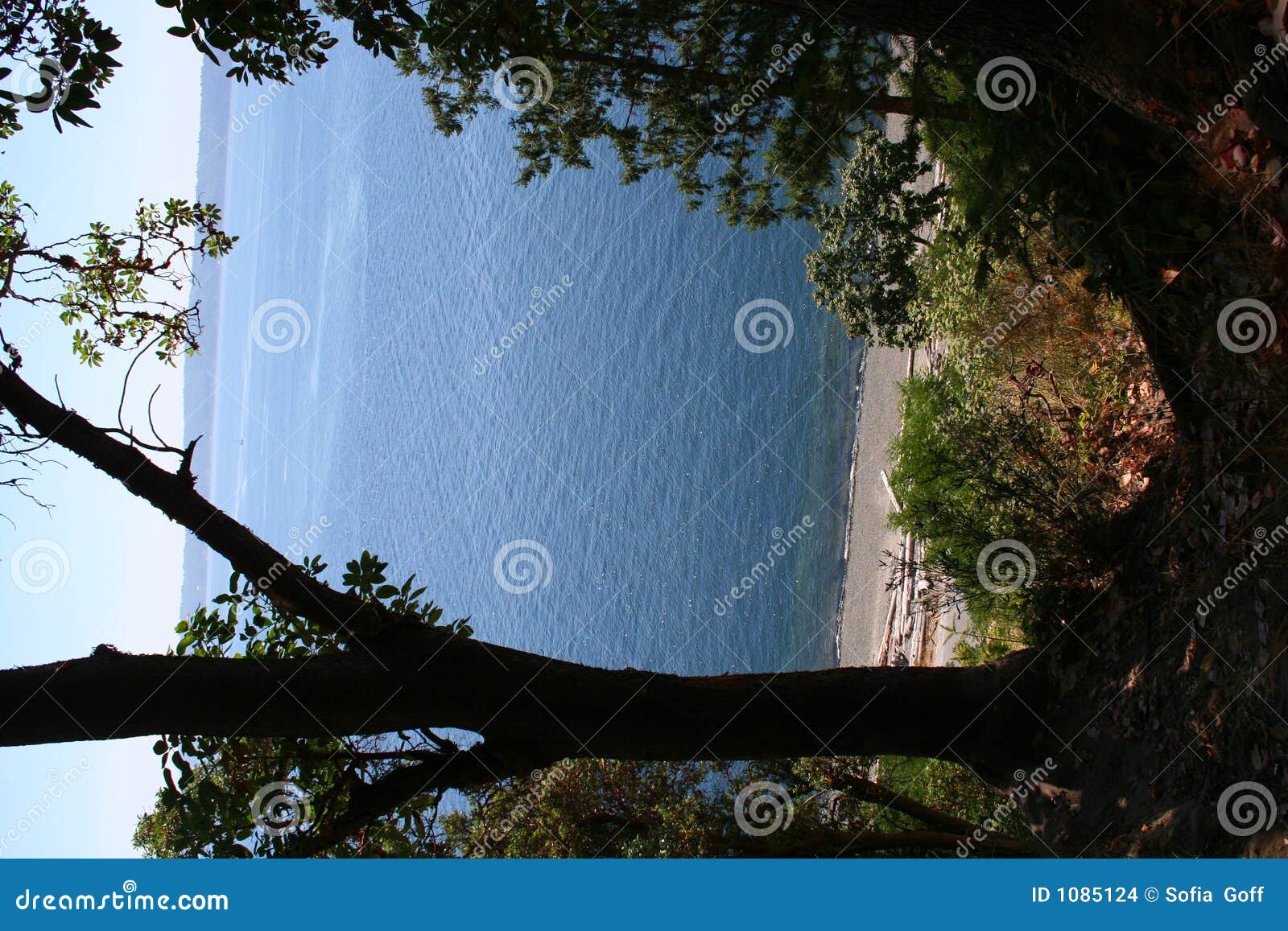 Water View stock photo. Image of water, ocean, beauty - 1085124