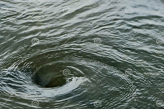 Water vortex stock photo. Image of swirl, water, danger - 1376158