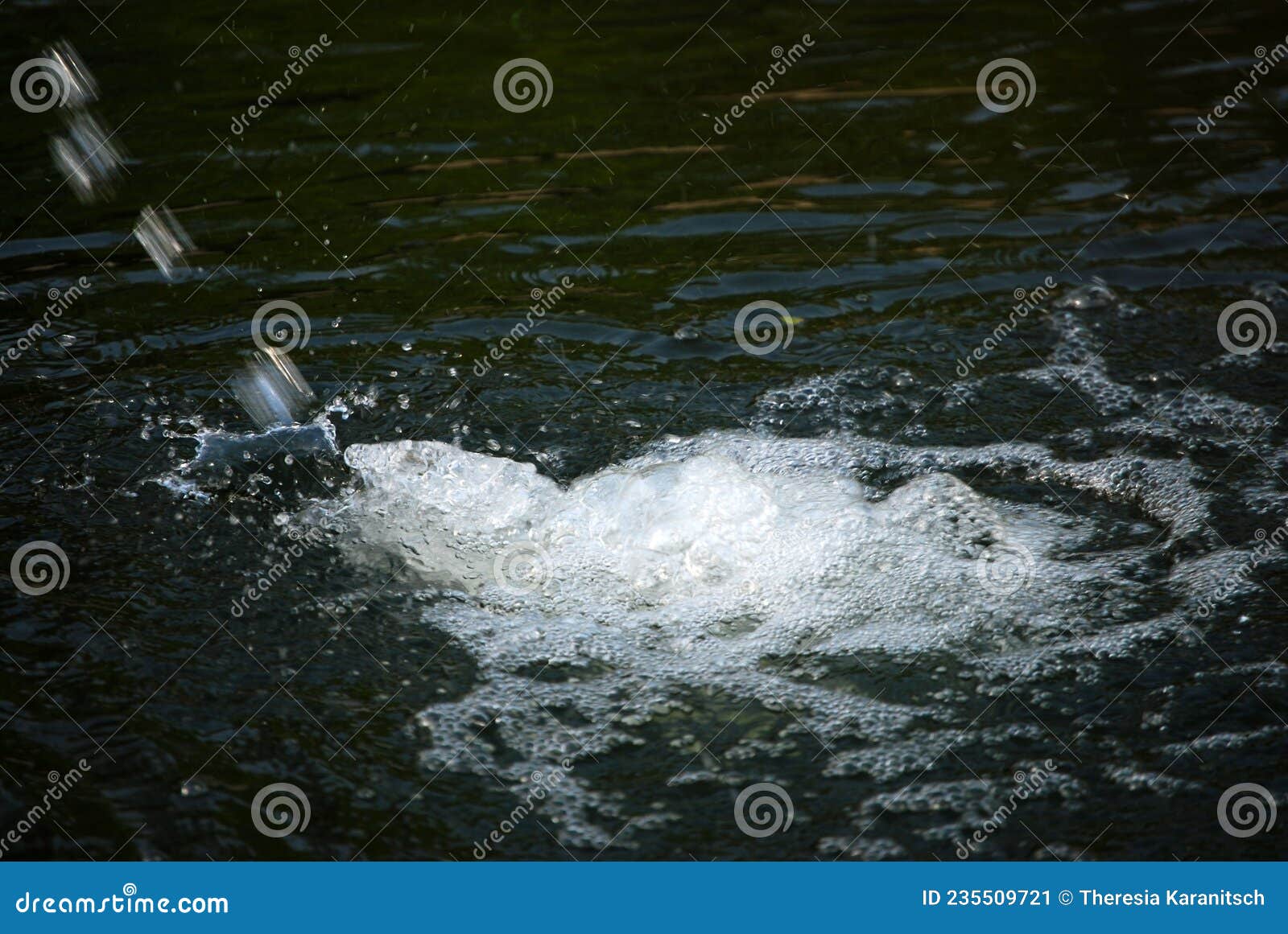Water vortex stock image. Image of flow, clear, vortex - 235509721