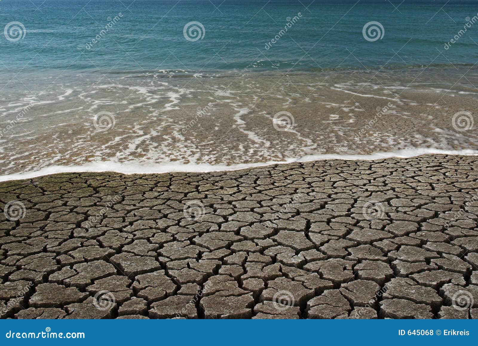 Pin Ocean Versus Desert