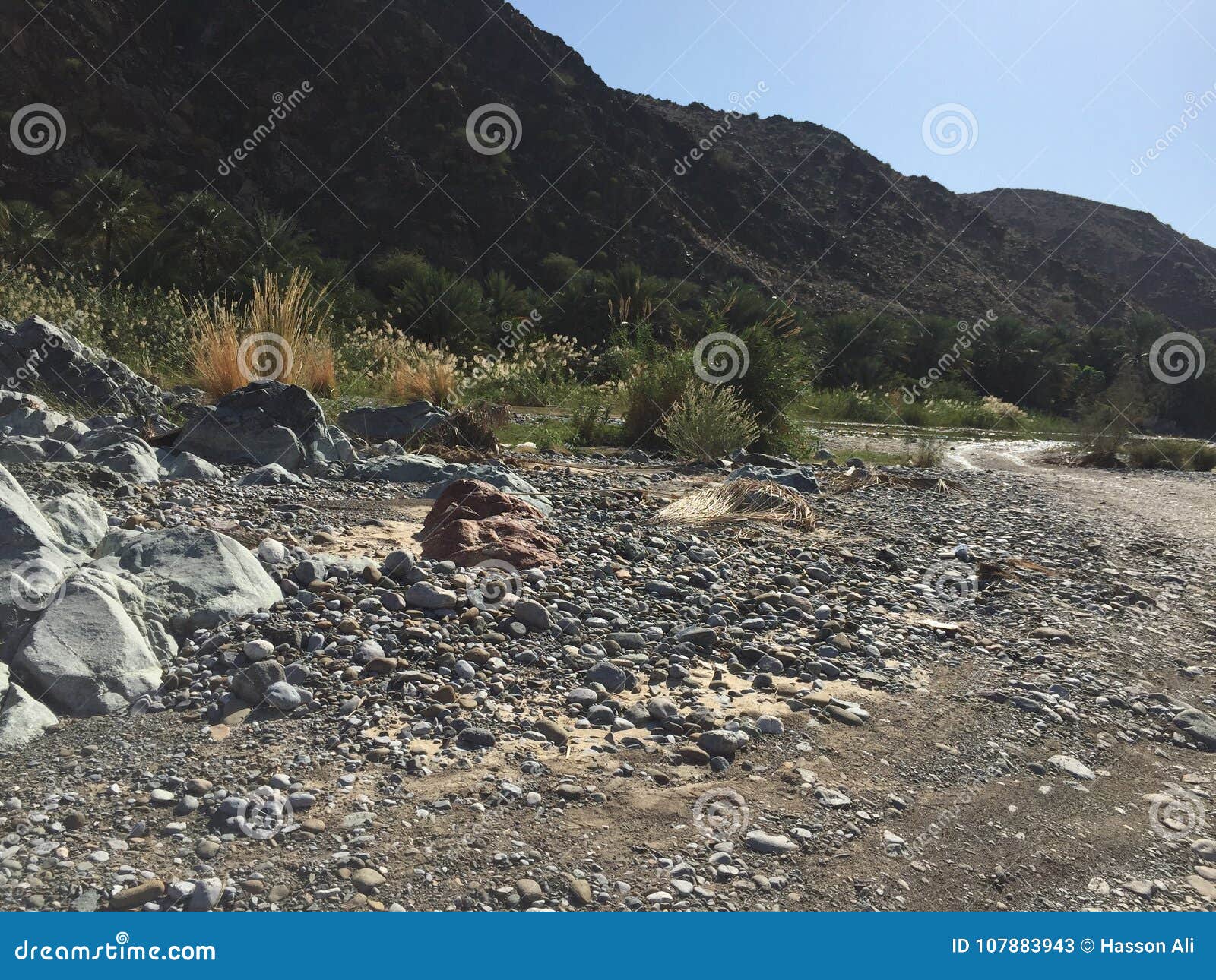 Wadi Beautiful Pic Stock Photos - Free & Royalty-Free Stock Photos from ...