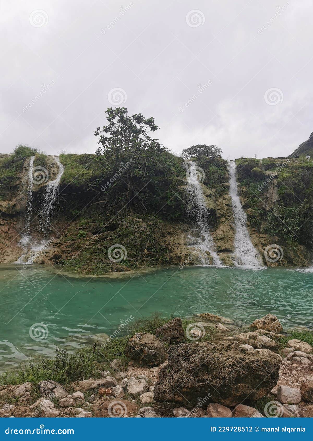 Water.. Wadi.. Oman. stock photo. Image of tree, waterfall - 229728512
